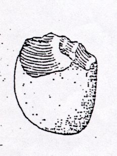 Il Paleolitico inferiore
